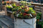 Creative Uses for Overripe Fruits and Vegetables