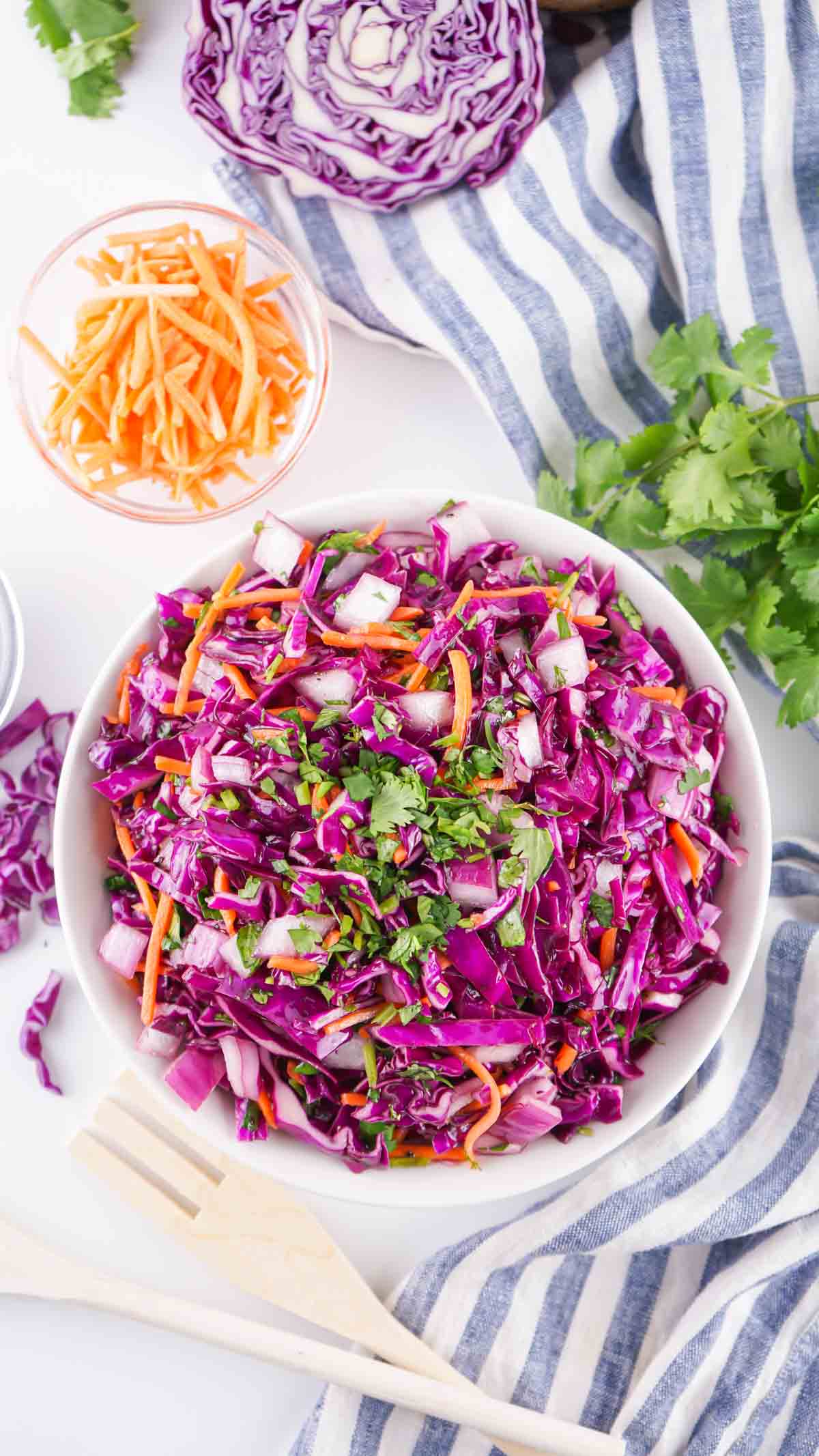 Red Cabbage Coleslaw - Pocket Friendly Recipes