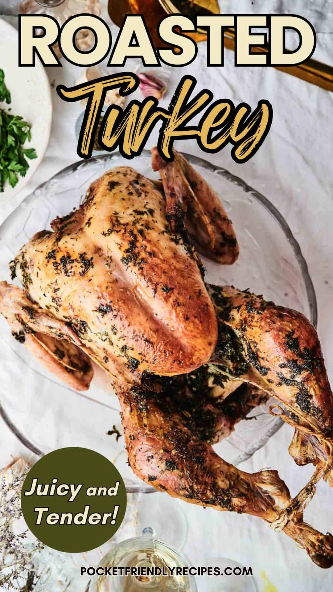 Best Roasted Turkey Recipe - Holiday Family Favorite
