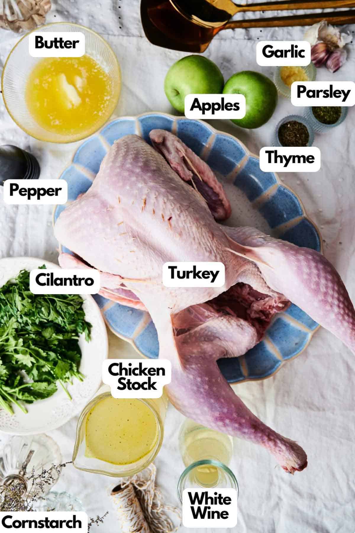 Best Roasted Turkey Recipe - Holiday Family Favorite