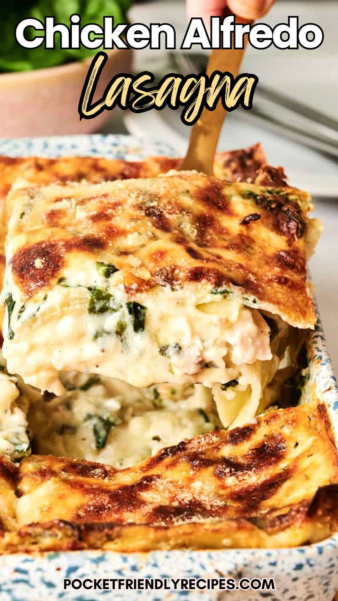 Easy Chicken Alfredo Lasagna Recipe - Pocket Friendly Recipes