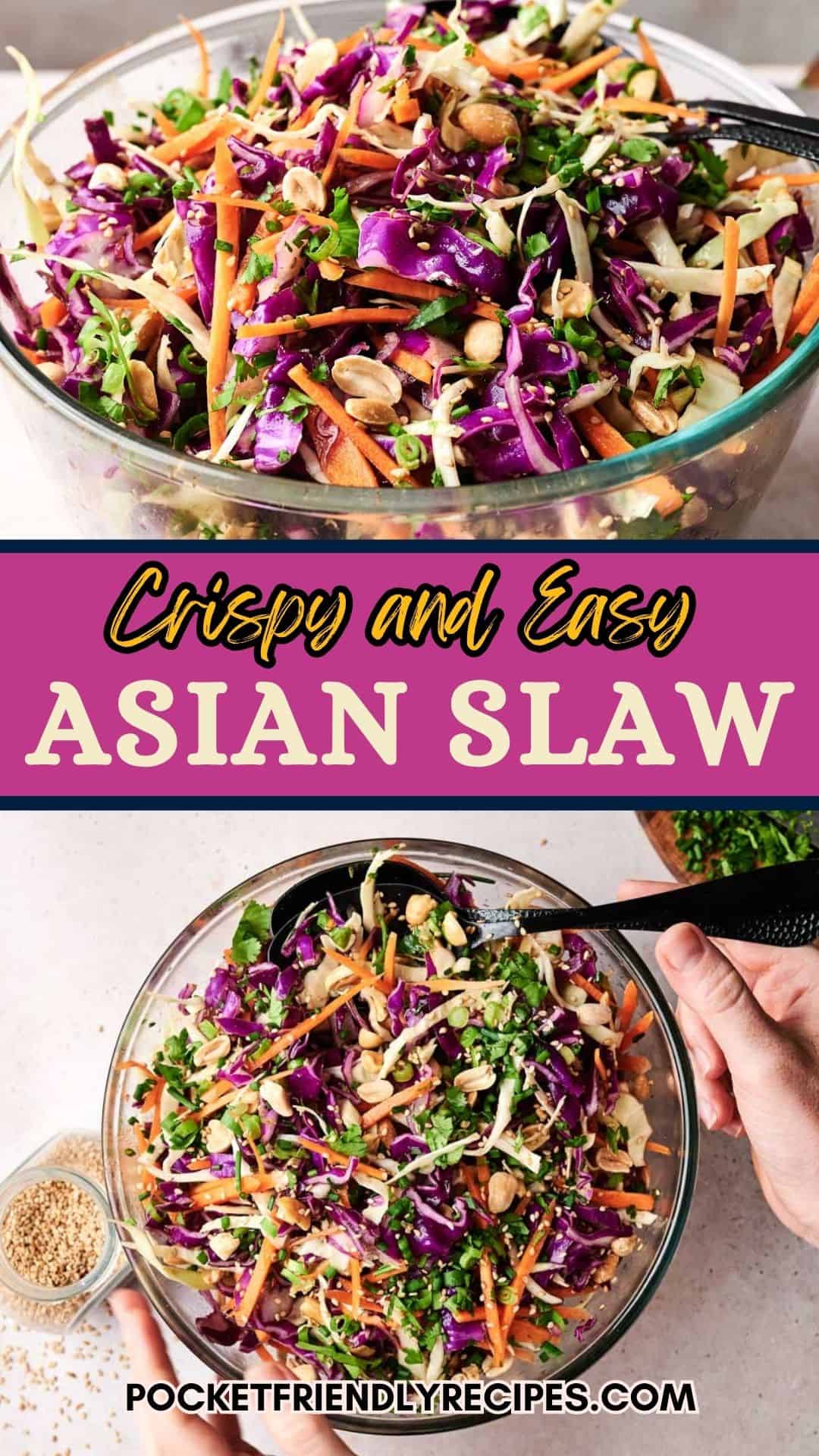 Asian Slaw Recipe
